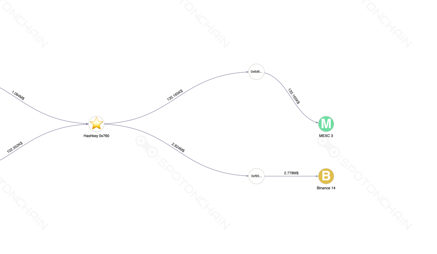 Spot On Chain - Visualizer #456