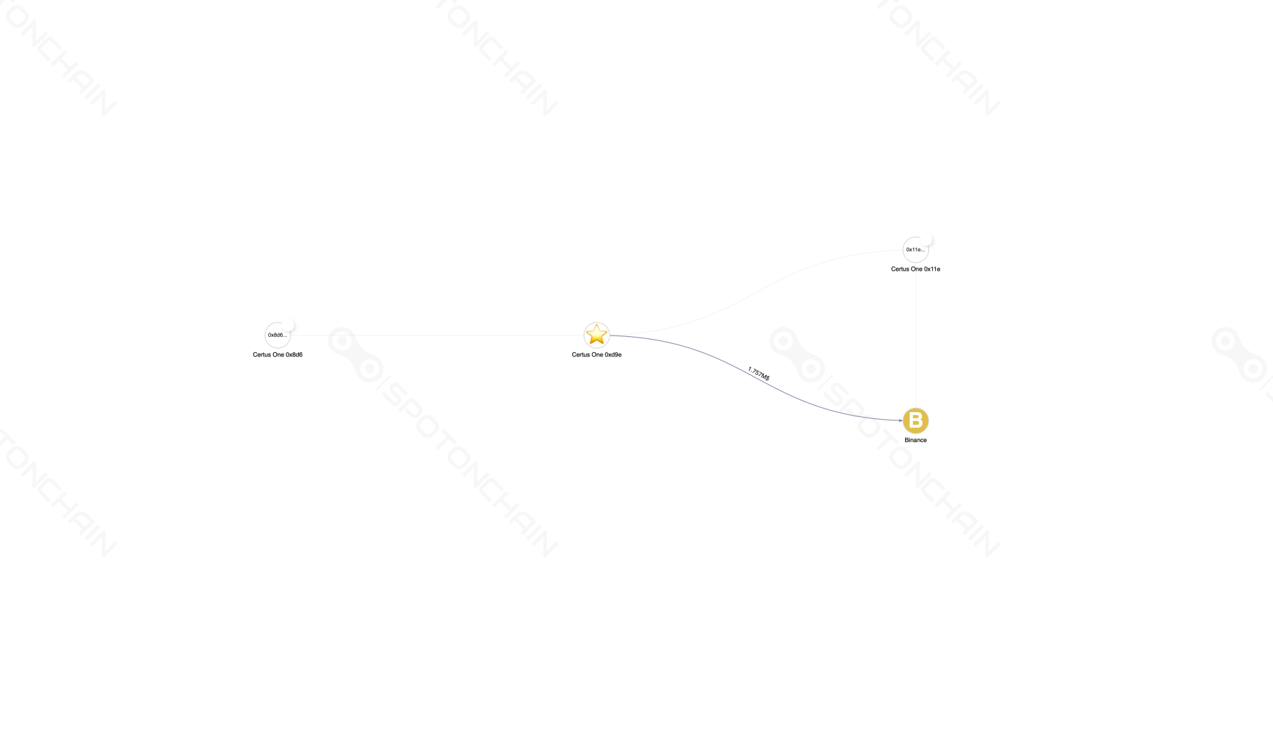 Spot On Chain - Visualizer #1276